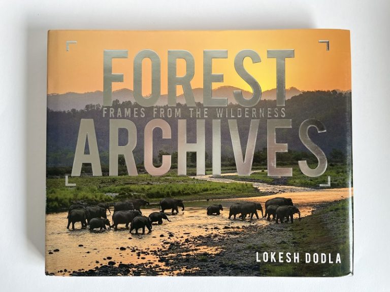 How To Make A Coffee Table Book and Publish It? Expert Guide